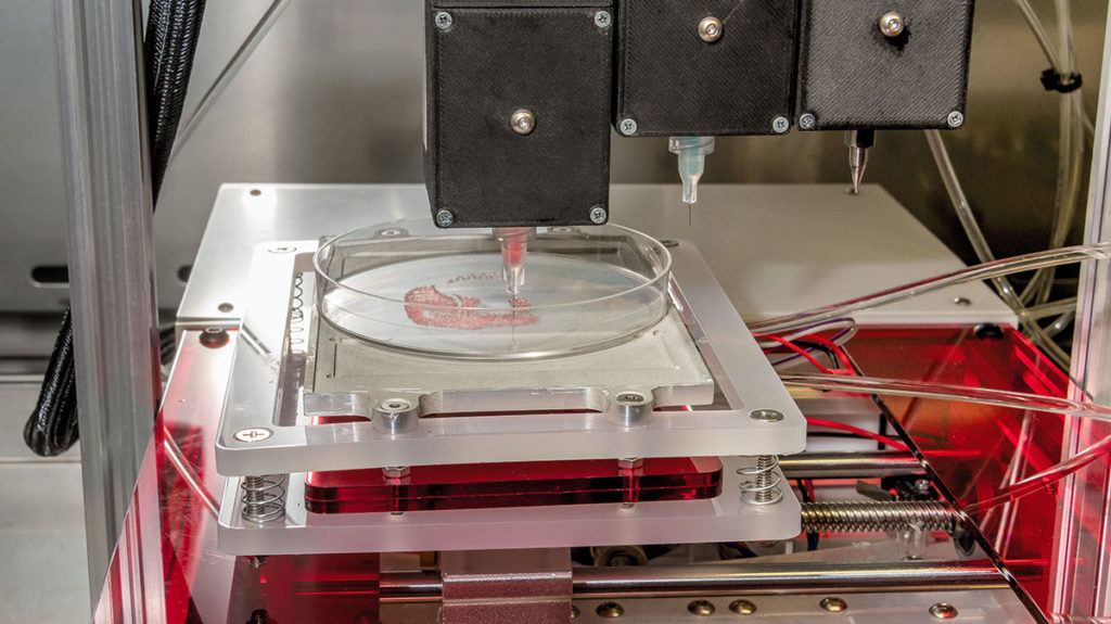 3D Ear Printing, Interview on ABC Illawarra | ENT Care Sydney